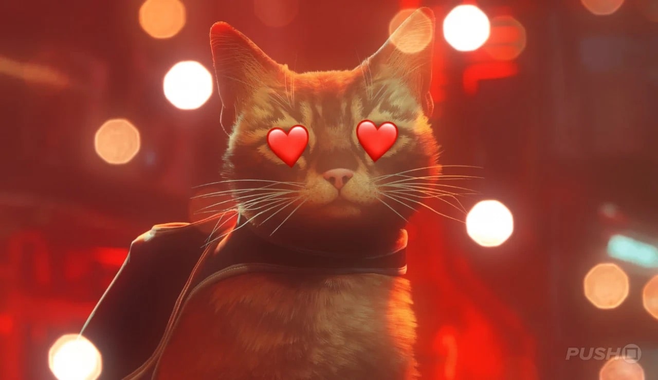 [Stray]PlayStation は、ASPCA に 25,000 ドルの寄付を行います | PSfan